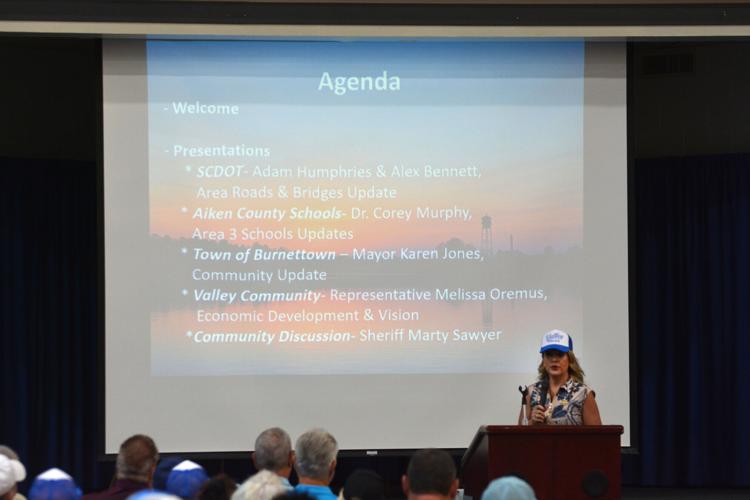 Legislator asks for Aiken County Council's help in Valley