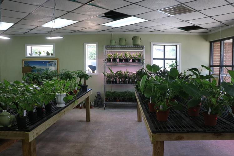 Blossom Plant and Produce to open in Columbia's Five Points