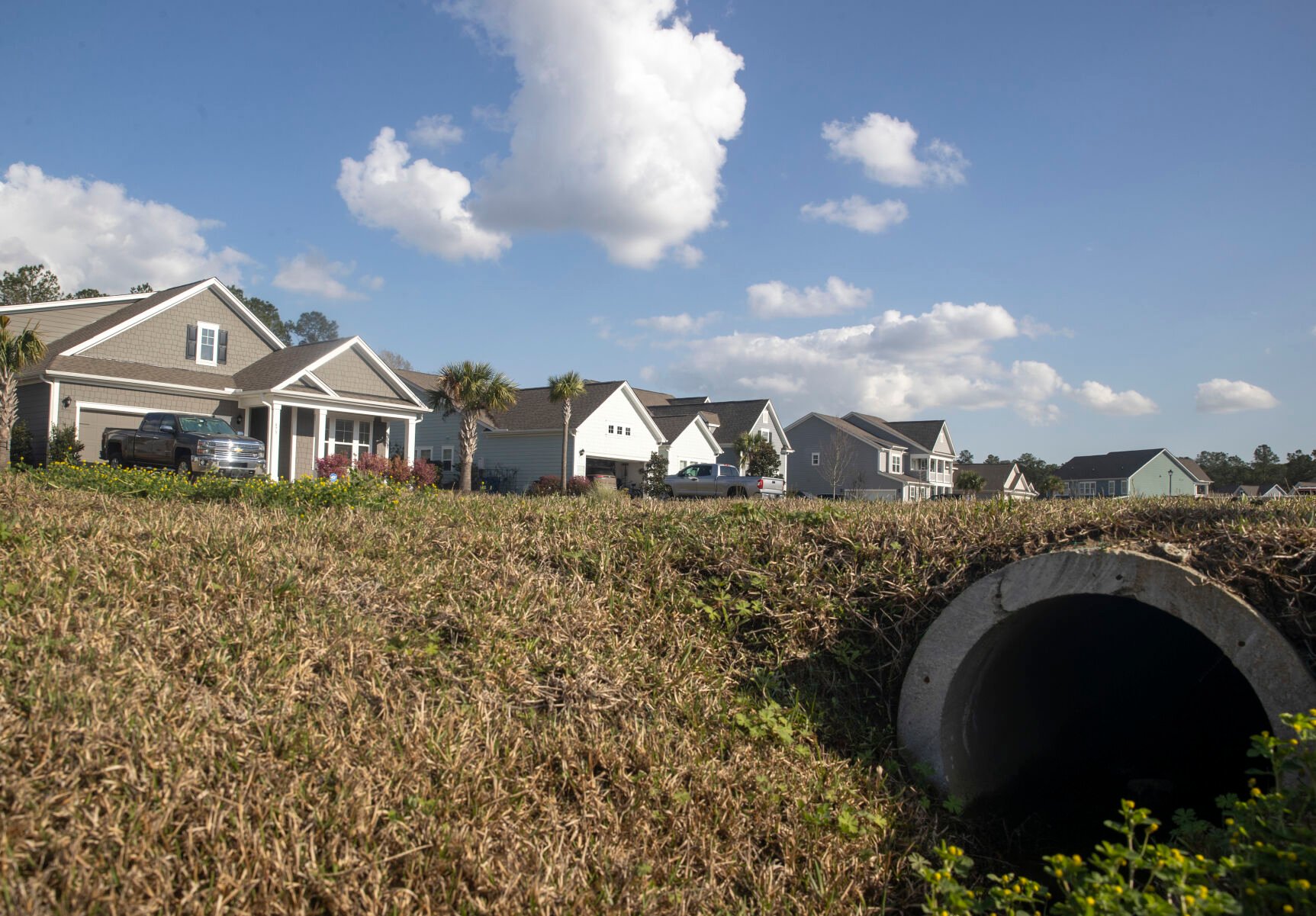 Court win for clean water and septic tank transparency in SC