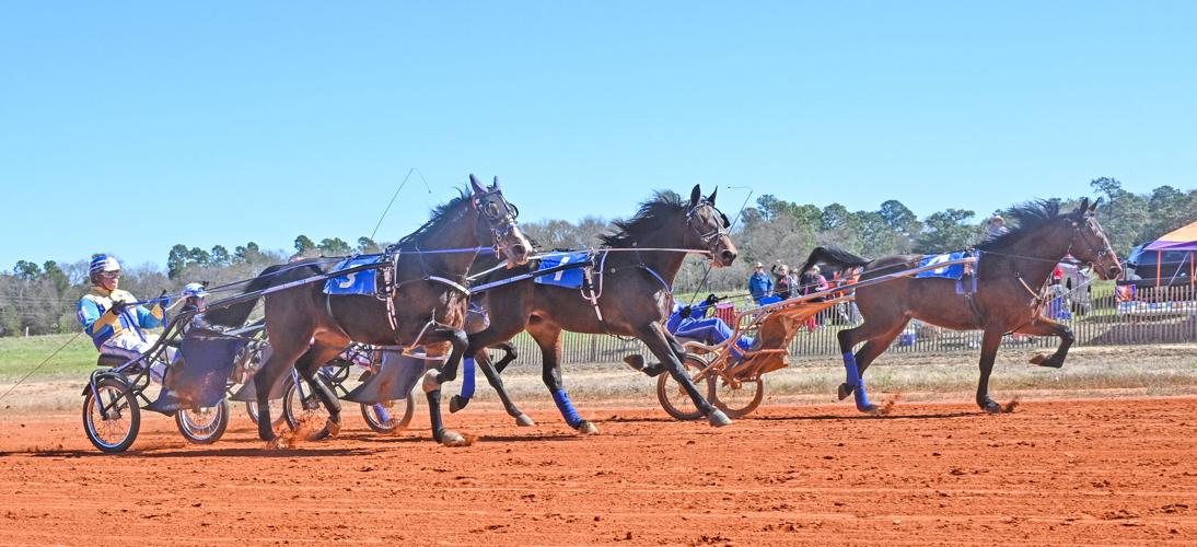 Harness Races held at McGhees' Mile in Aiken on Sunday