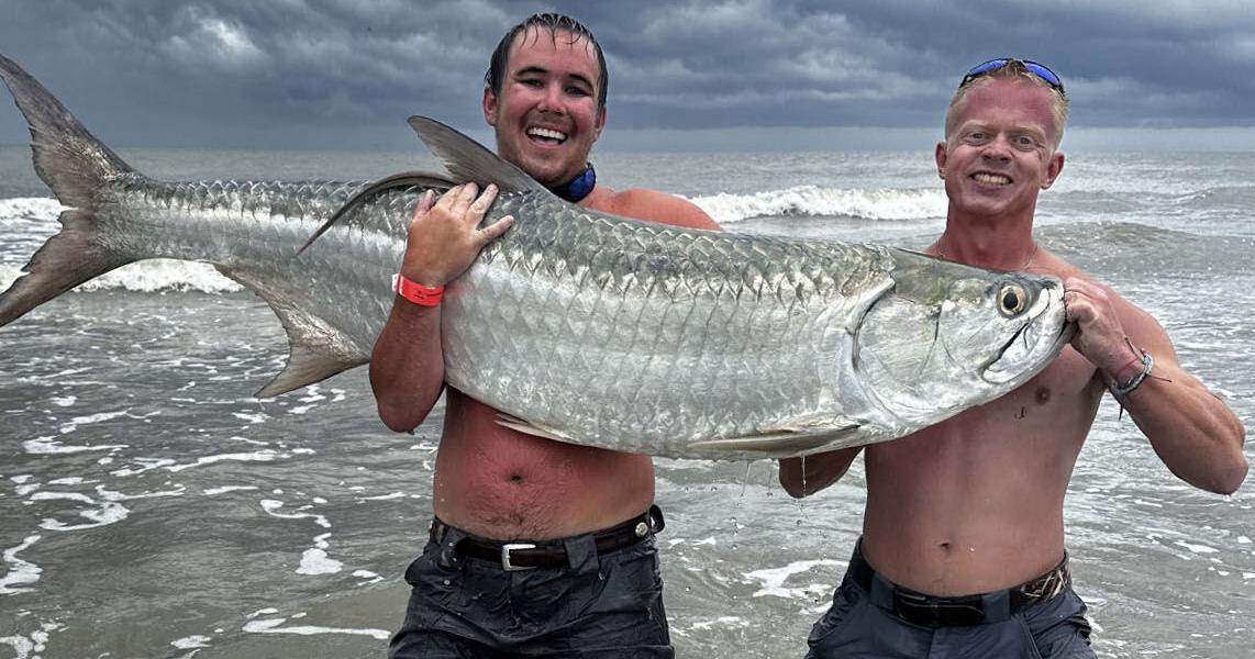 huge tarpon