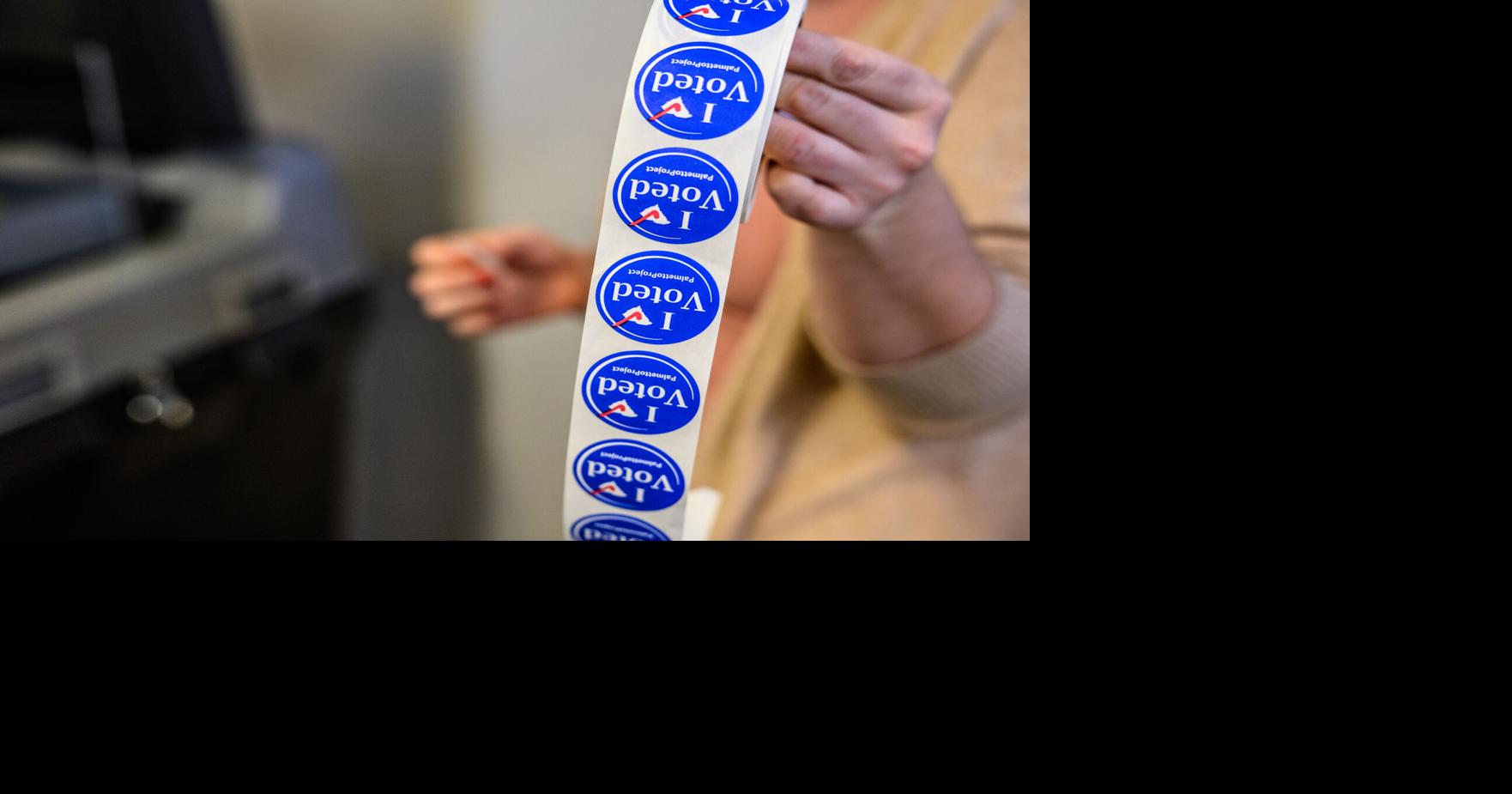 Lexington, Chapin, West Columbia 2025 election results
