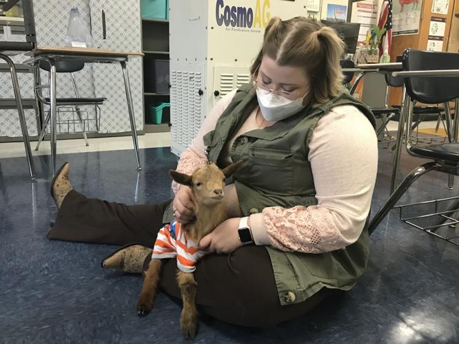 Urban Columbia high school teaching students about agriculture business ...