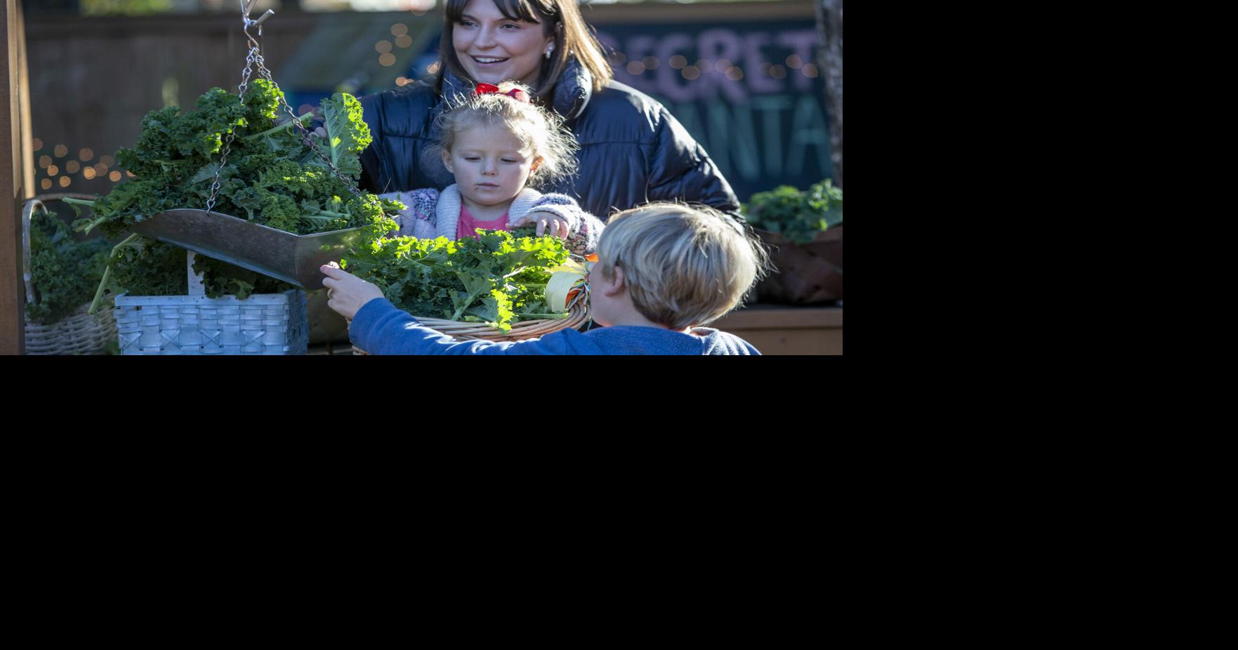 Katie's Krops: Southern Living gives top honor to Stagliano