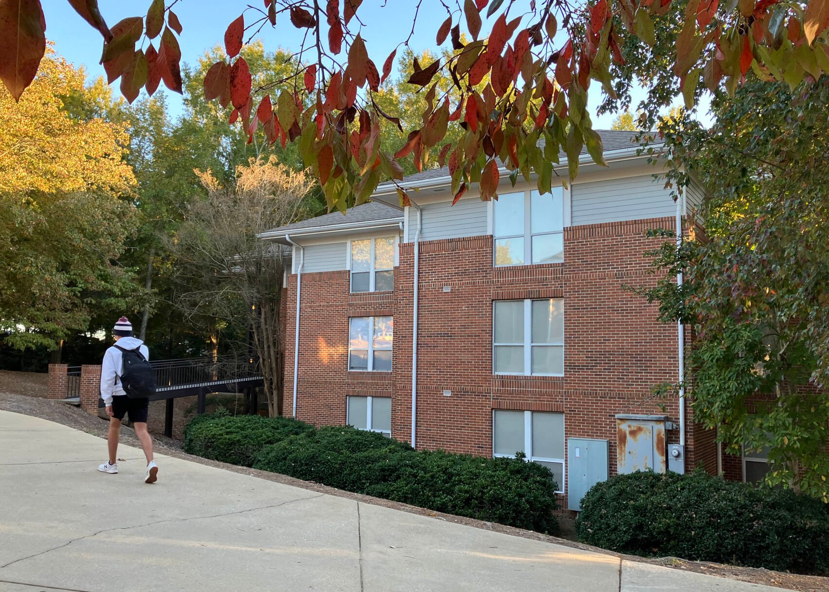 Clemson students reported 300-plus cases of mold