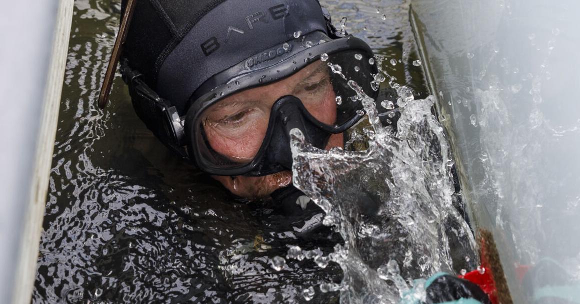 Port City Diving cleans boat hulls in Charleston Harbor | Photos from ...