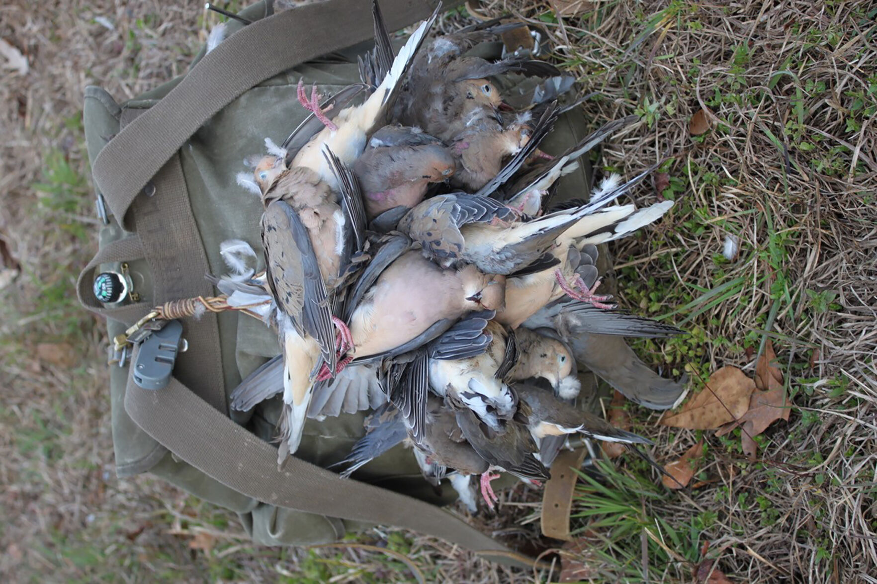 November multiplies hunting options in South Carolina