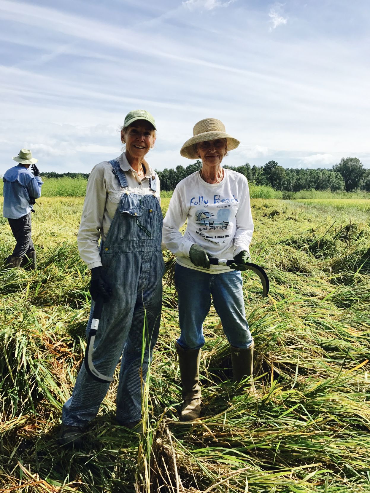 Colleton County plantation, filmed in 'Forrest Gump,' to open for ...