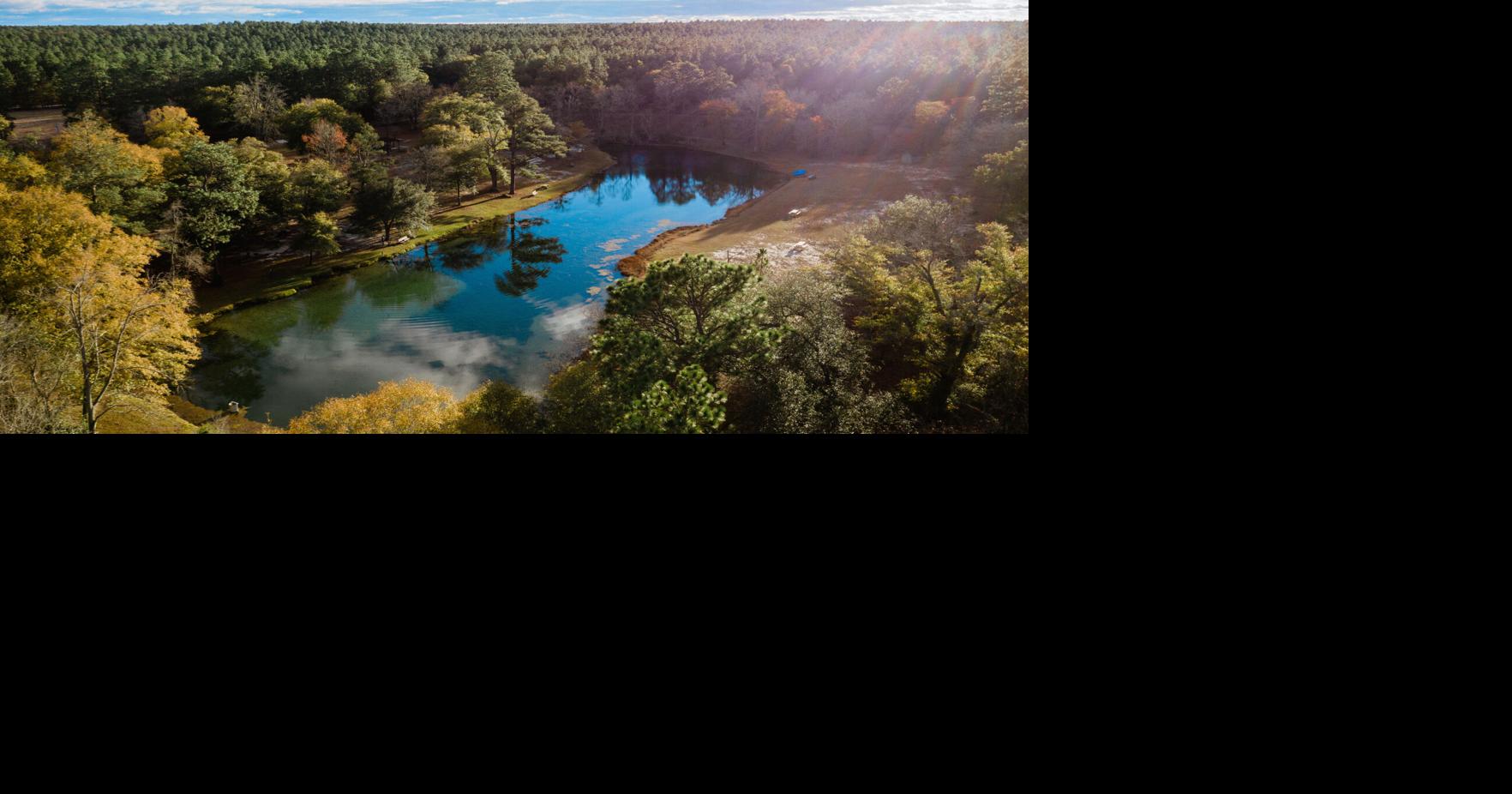 Discover Aiken: Experience Montmorenci, Windsor, Monetta