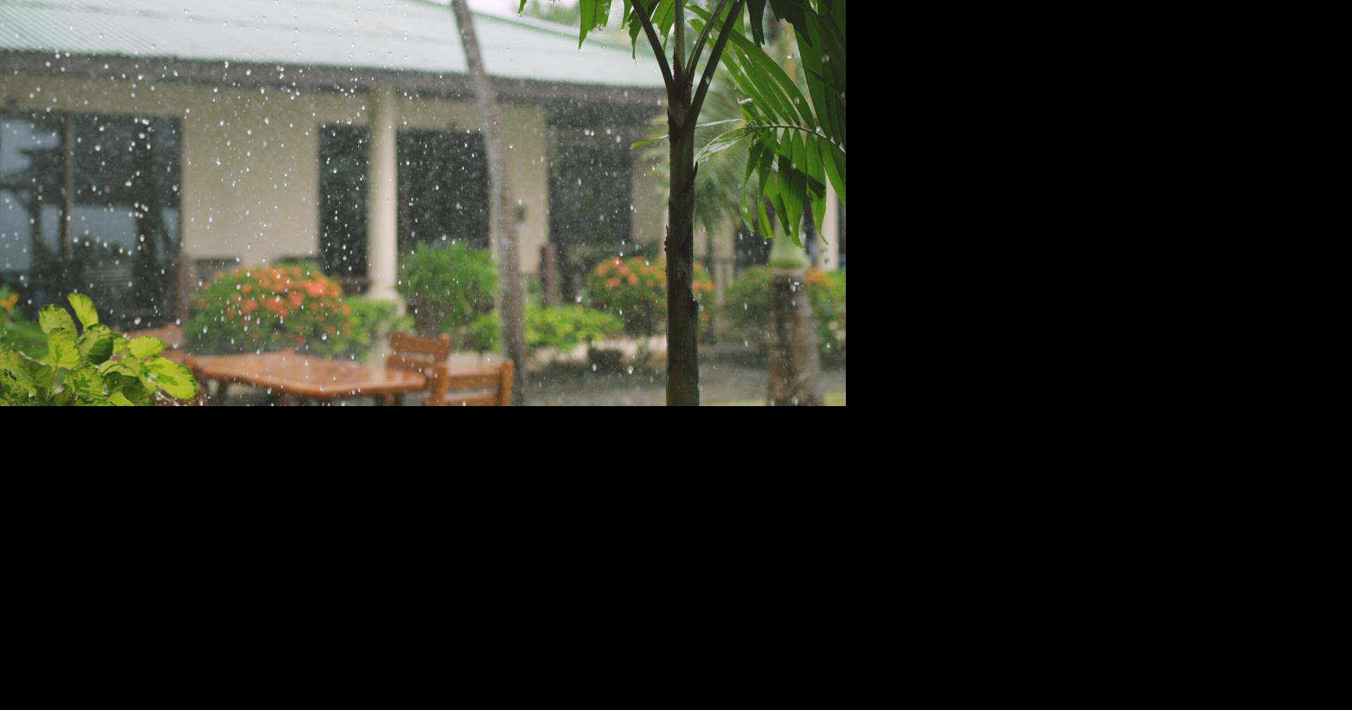 Gardening column: Protect your garden from hurricanes too