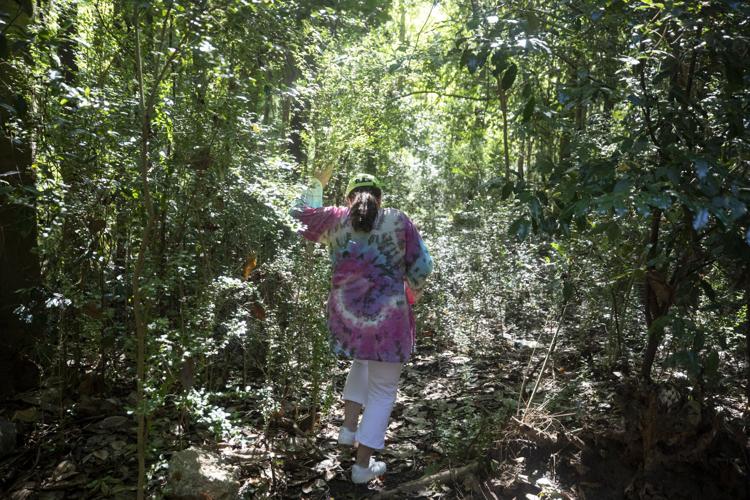 Photos: Butterflies and life abound at the Filbin Creek Nature Trail