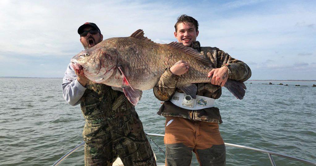 world record red drum length