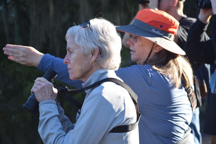 Augusta-Aiken Audubon Society offers adventures in birding and nature