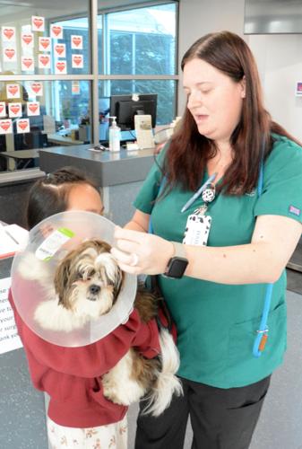 Albrecht SPCA Center celebrates 90 years of Aiken-area aid