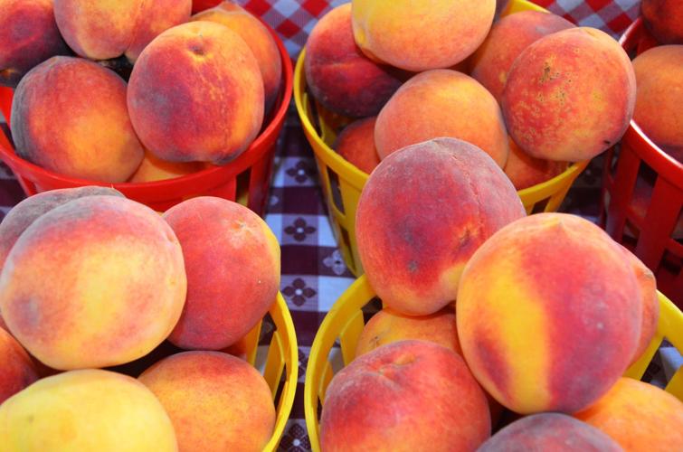 Ridge Spring-Monetta area known for agriculture