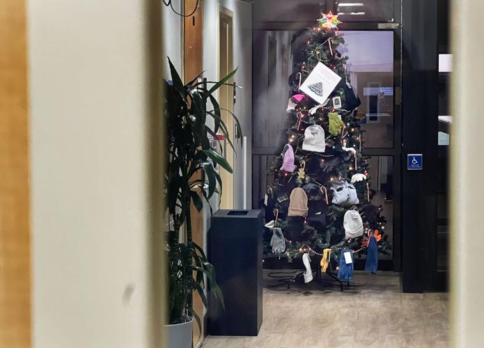 MUSC's 'Giving Tree' warms hearts amidst winter chill