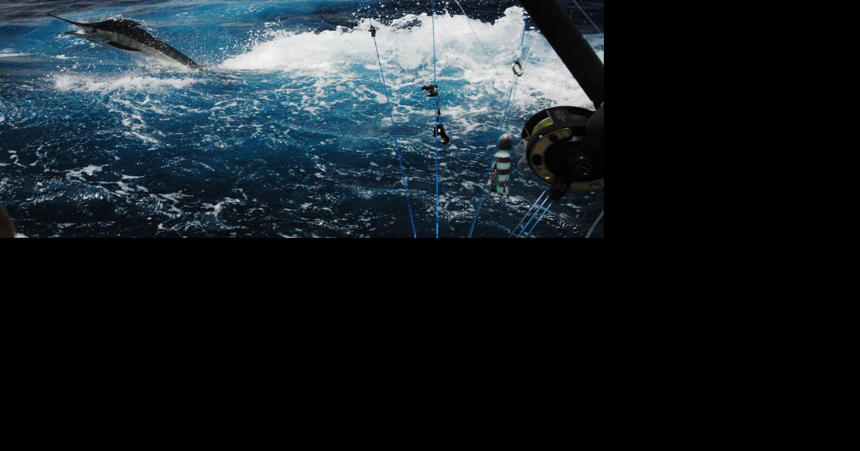 Sweet Spot's three blue marlin lead Bohicket Marina Invitational