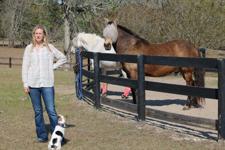 Power company targets land in famed Aiken horse country