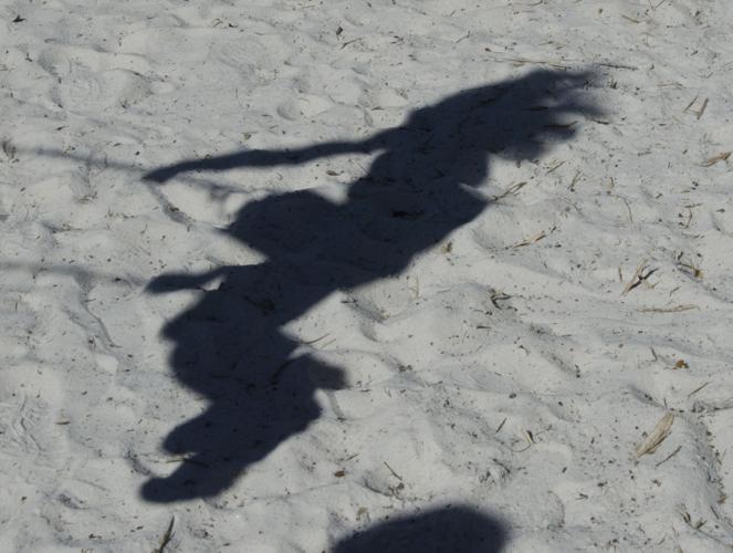 Reader photos: Shadows