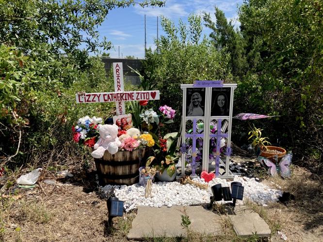 Why are so many pedestrians dying in Charleston County?