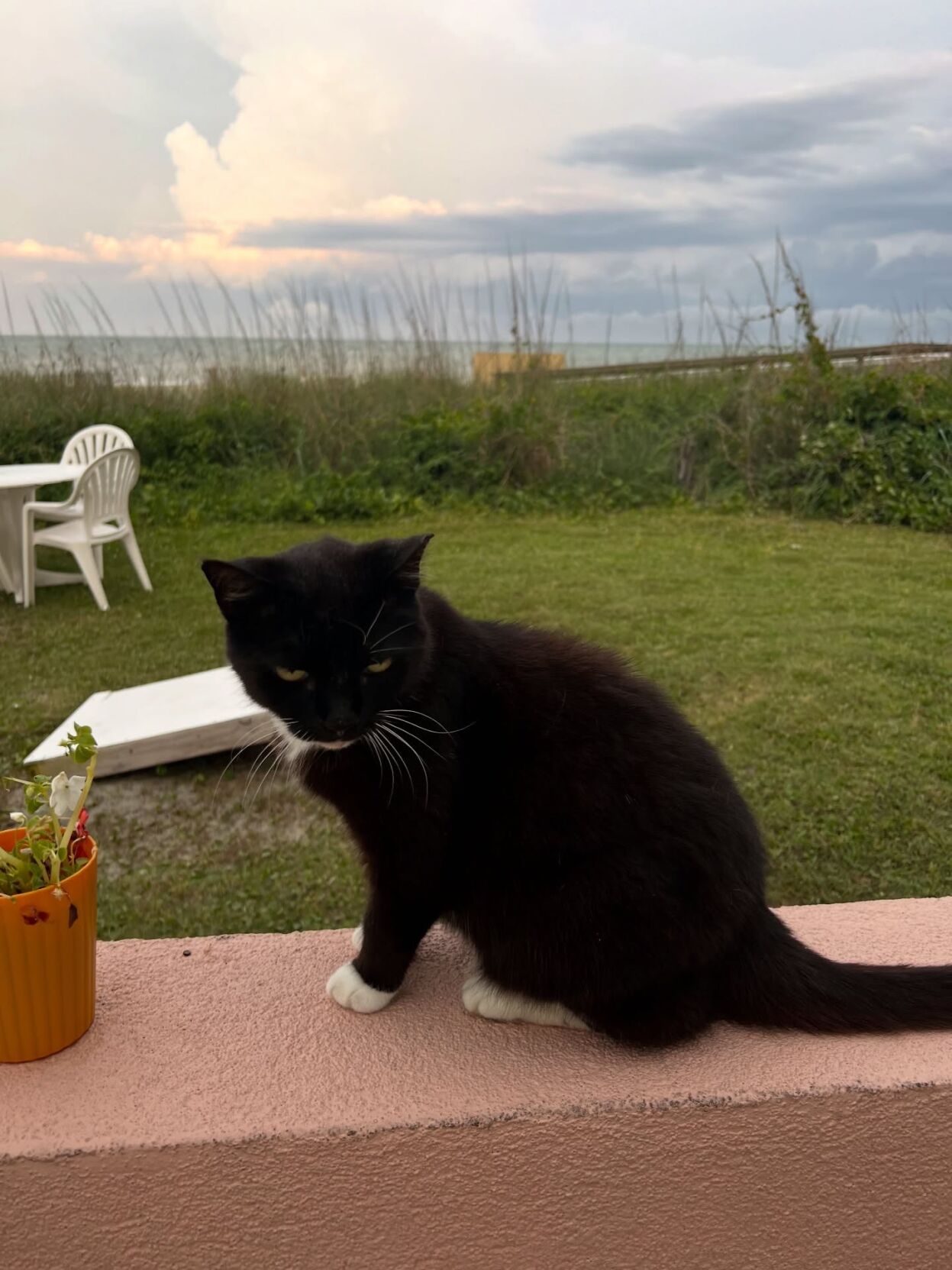 Page B3 | The Georgetown Times E-Edition or E-Paper