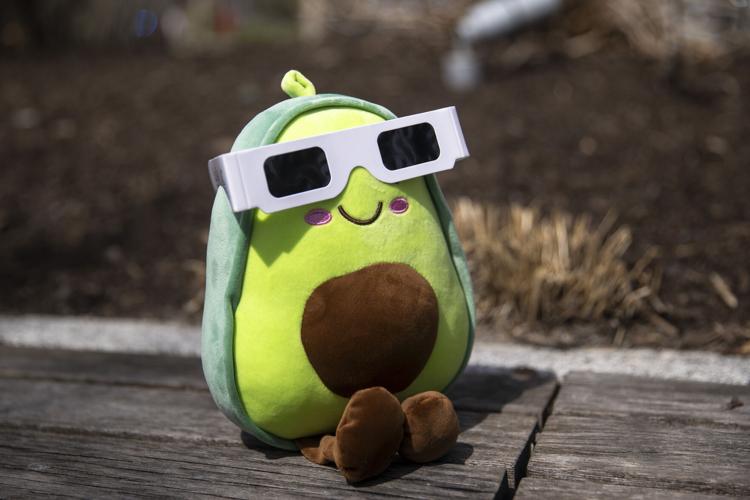 Photos: Total solar eclipse over Cleveland after South Carolina won ...