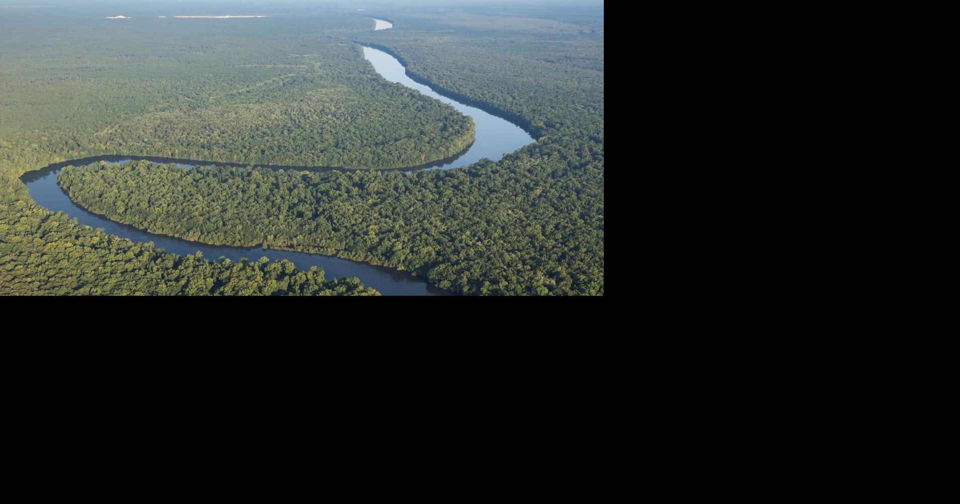 SC Forestry Commission takes big step to its first easement