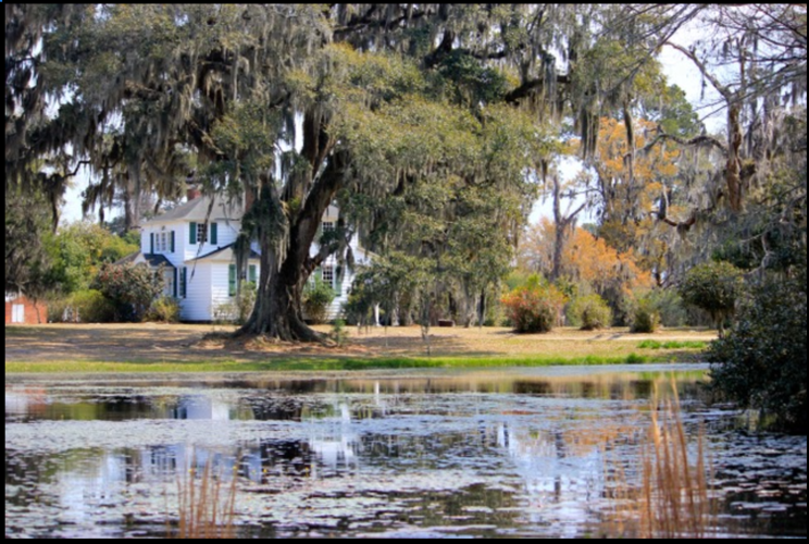 'Look how far we've come:' Plantation tours showcase history