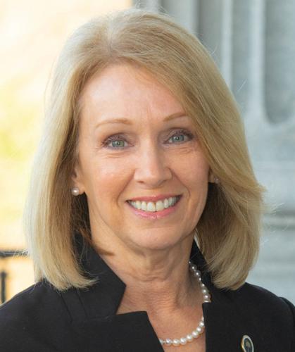 Mount Pleasant group sends statewide mailers depicting SC Republican ...