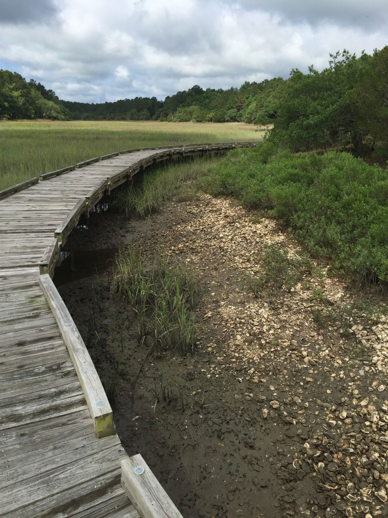 What is the Sewee Shell Ring near Charleston, SC?