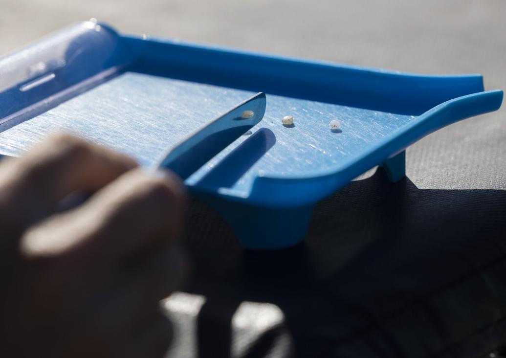 Plastic nurdles often wash ashore around Charleston Harbor