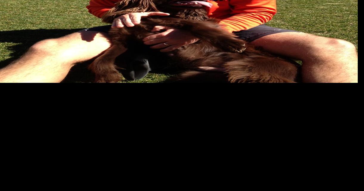 Dabo's dogs: Clemson coach's canine companions part of the Swinney family