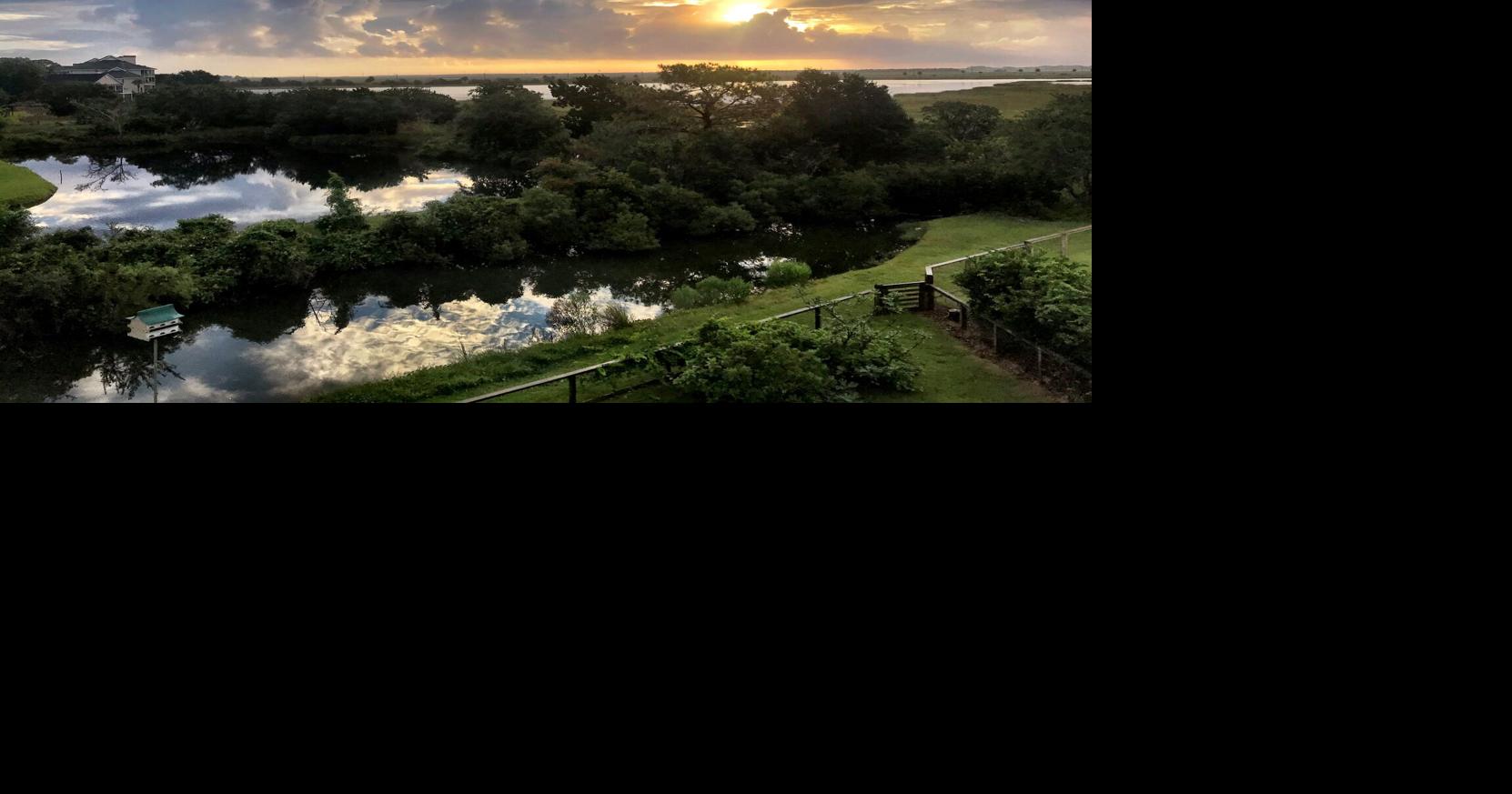 Low Country Landscapes Photo of the Week