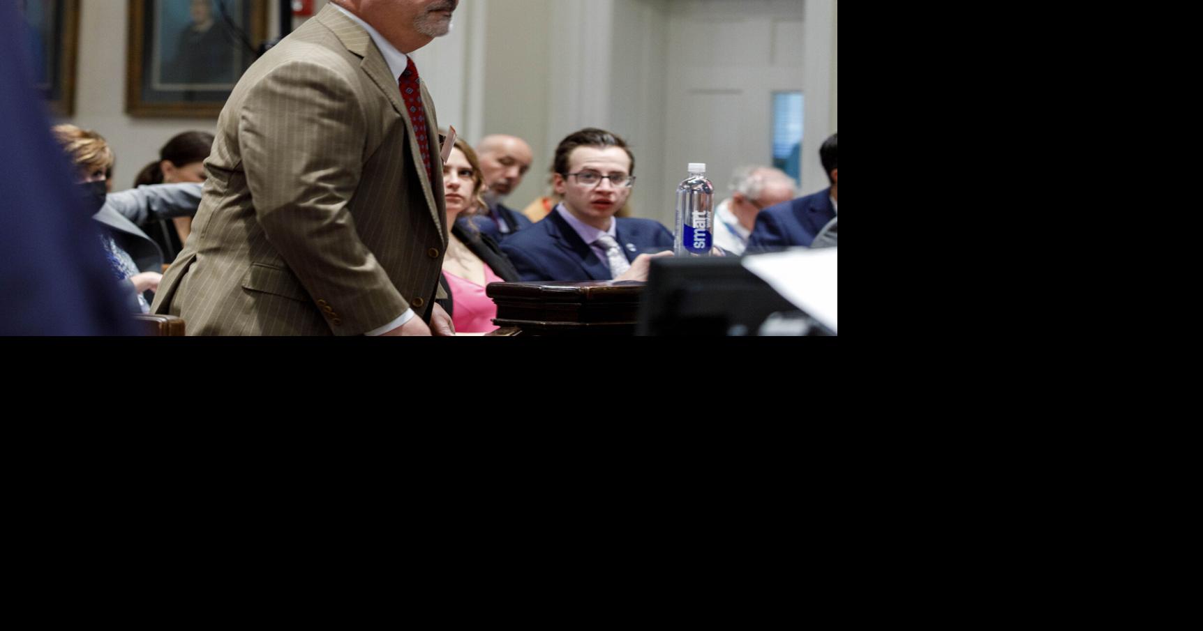 Fiery testimony in Alex Murdaugh murder trial shows risk, reward of ...
