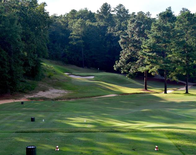 Palmetto Golf Club included in America's best golf holes