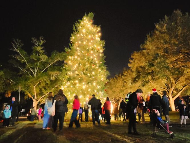 North Augusta tree lighting ushers in 13-day scavenger hunt