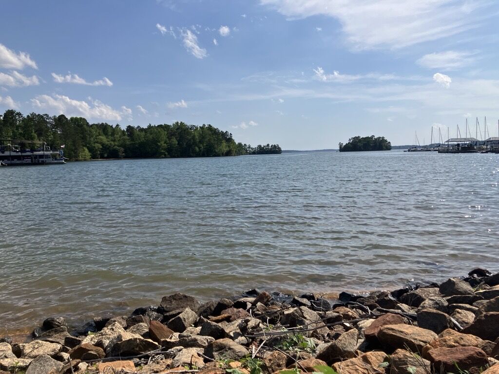 Look out for harmful algae blooms reported in Lake Hartwell