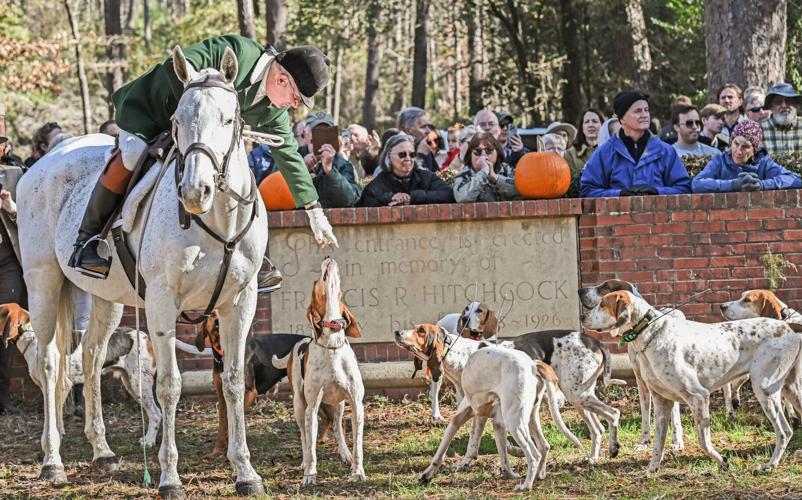 Blessing of Hounds ceremony returns to Hitchcock Woods