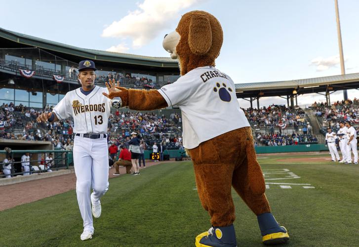Charleston RiverDogs add to promotional brand