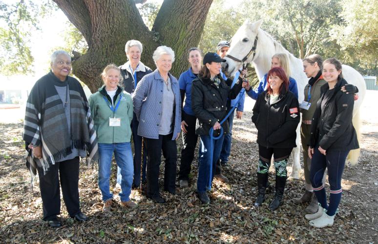 Aiken Mayor Teddy Milner meets Teddy the horse