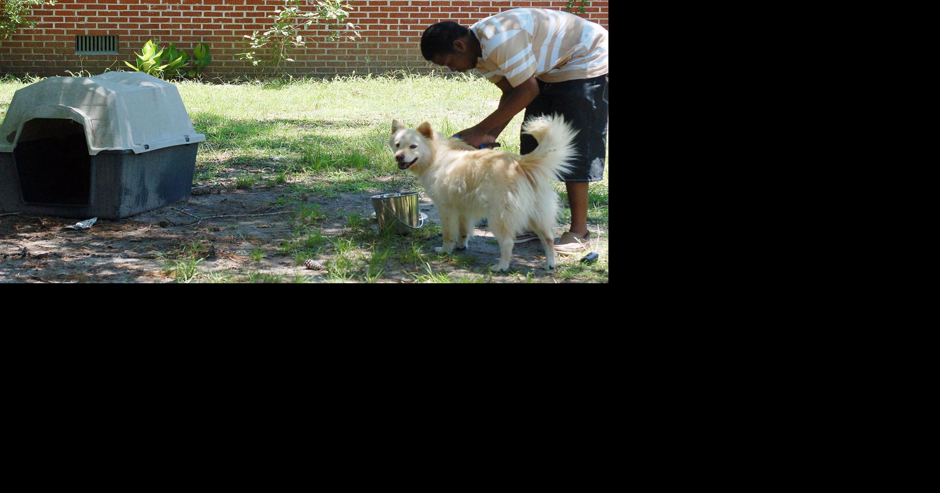 Editorial: End cruel animal tethering in South Carolina