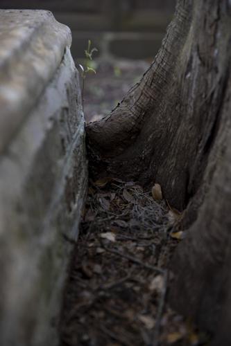 Army Corps helps protect historic SC chapel