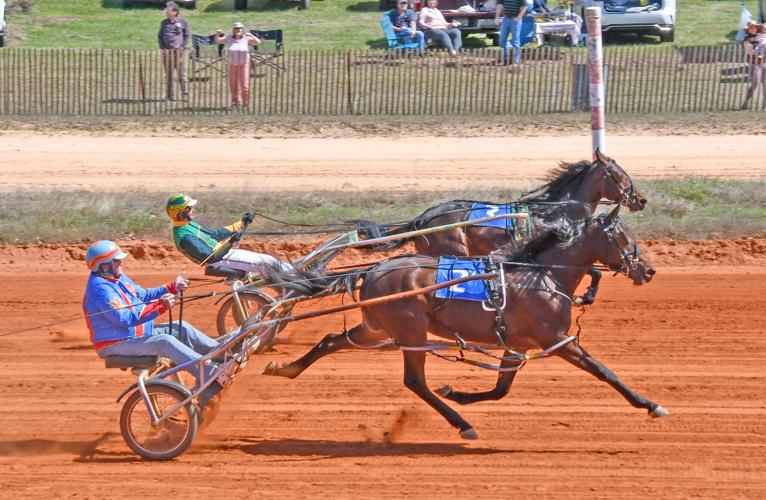 Beautiful day brings tailgaters out in force to McGhees' Mile Harness Races