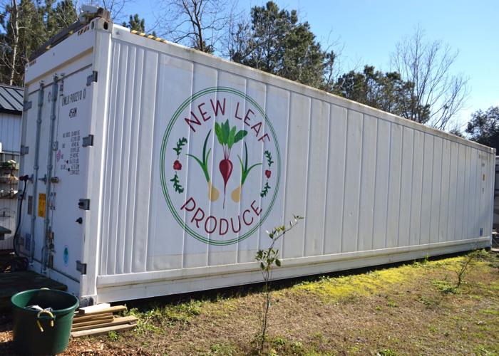 St. Helena Island farm exists inside a shipping container