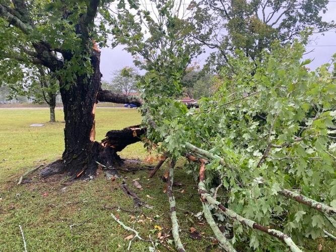 Update: Three dead from Tropical Storm Helene identified