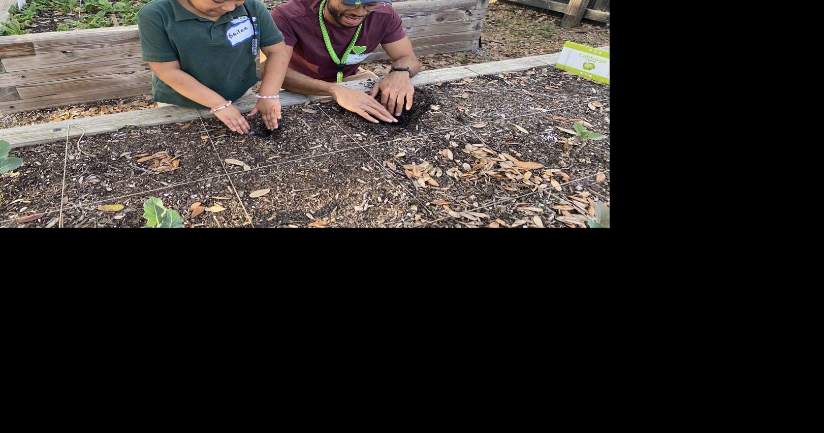 The Green Heart Project: Cultivating community through gardening ...