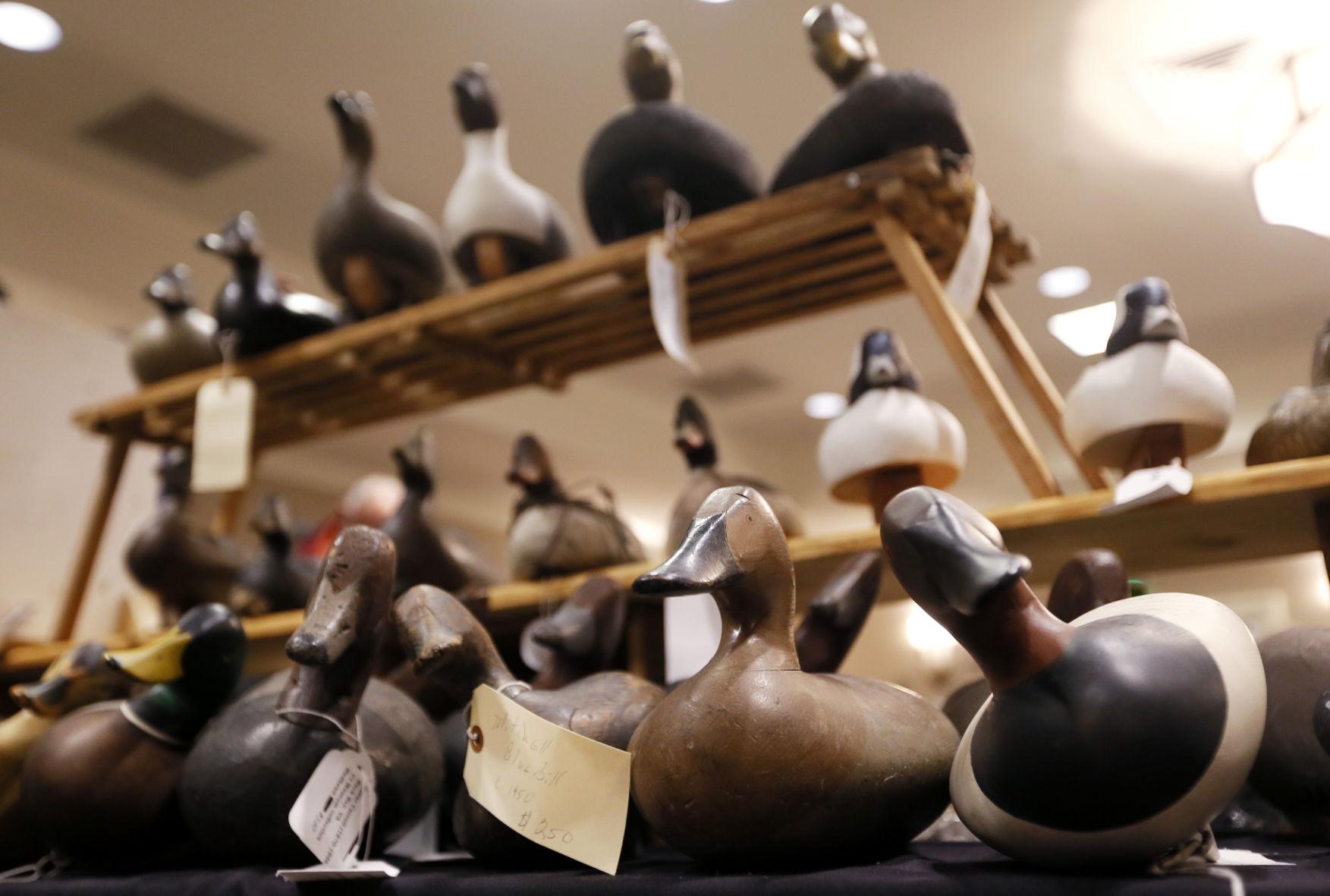 SEWE 2024 event schedule | Southeastern Wildlife Expo | postandcourier.com