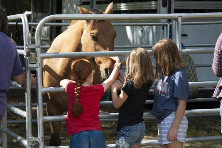 'Colonial Day and Fort Fair Lawn' celebration