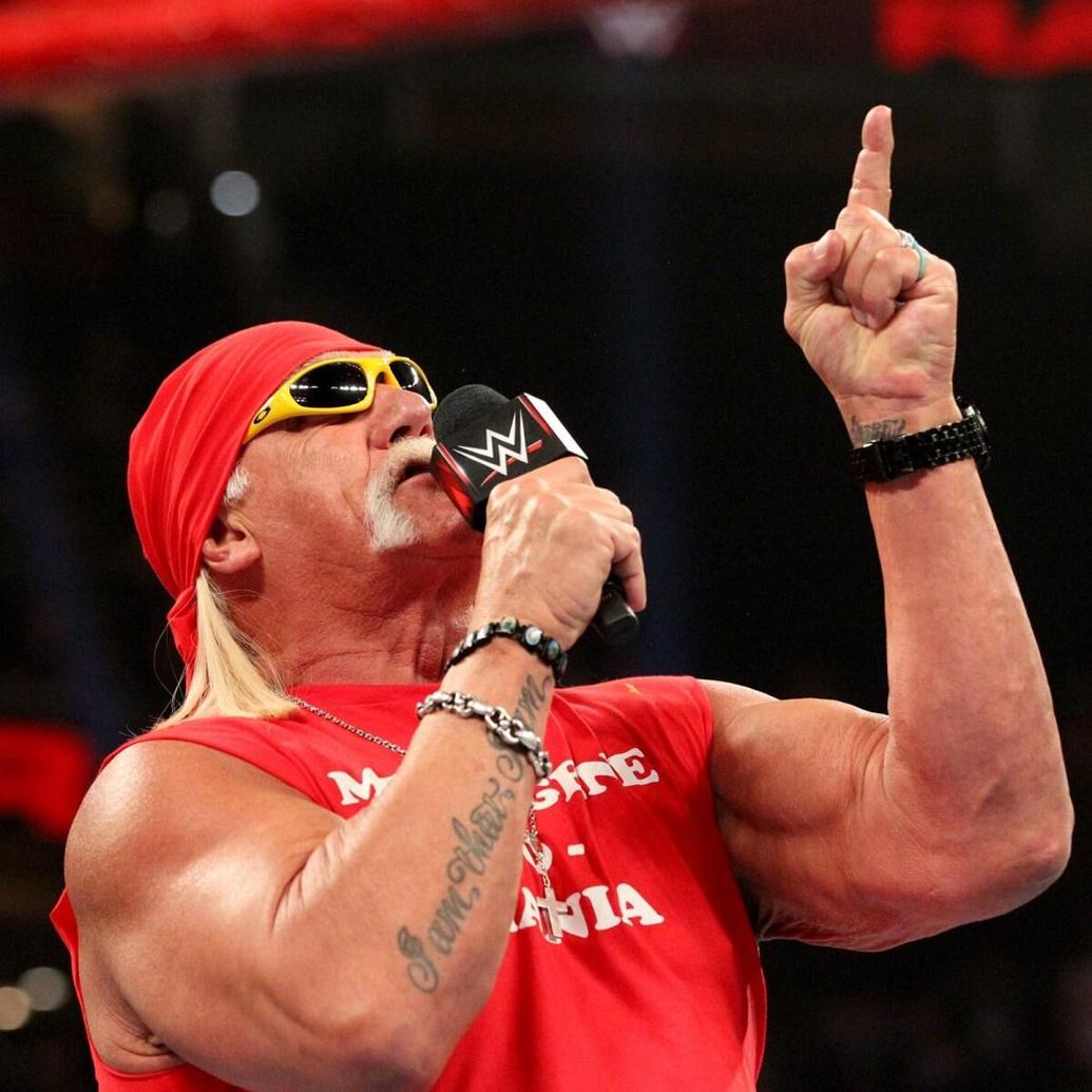 Hulk Hogan the pro wrestling superstar who defined an era