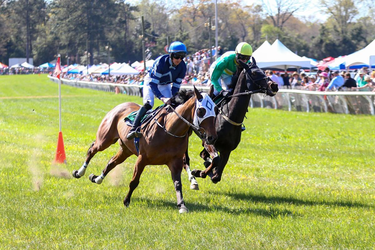 Indigo Heart rolls to victory in the Budweiser Imperial Cup at the ...